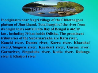 River system of odisha | PPTX