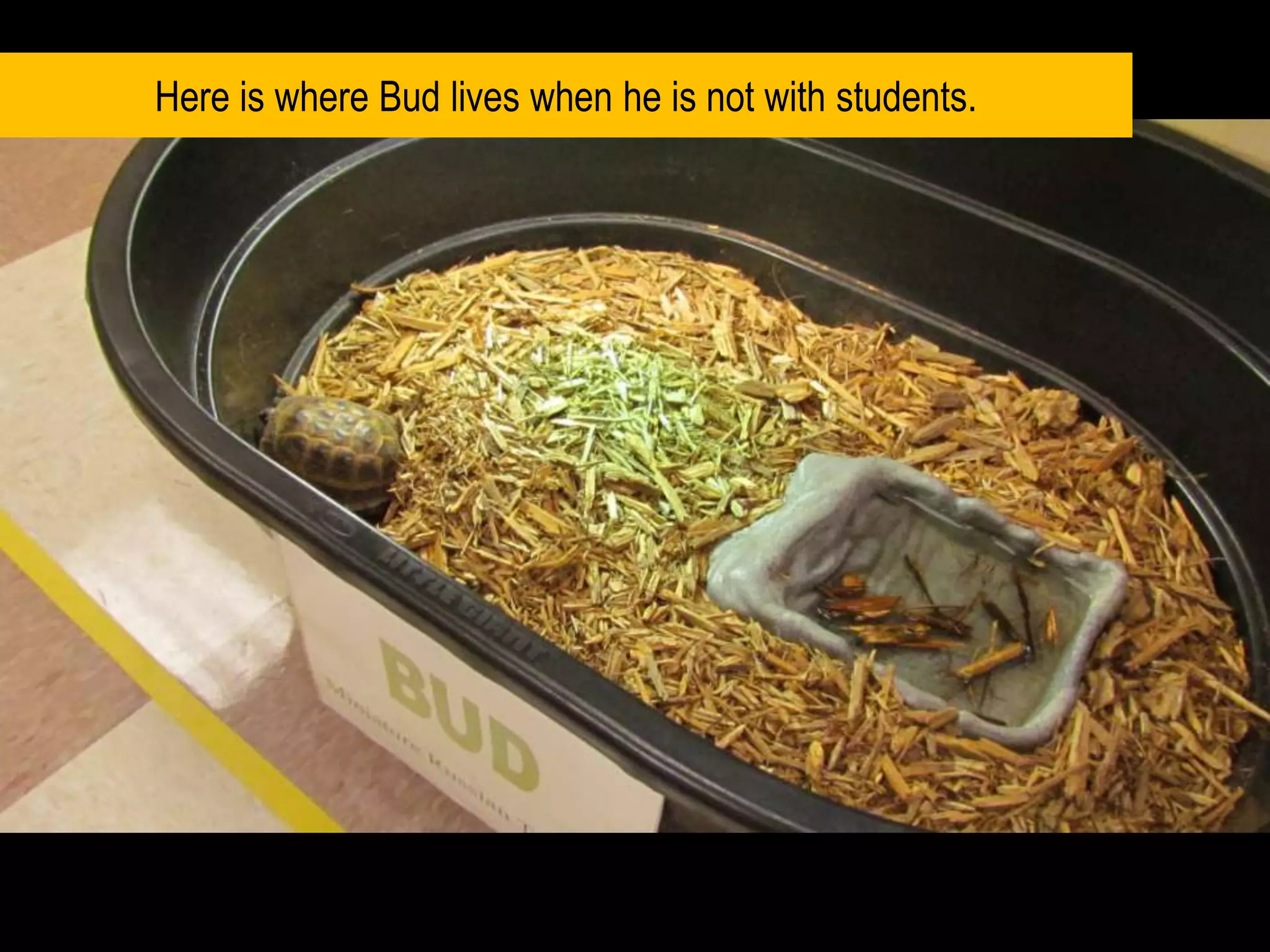 Riverview Science Lab | PPT