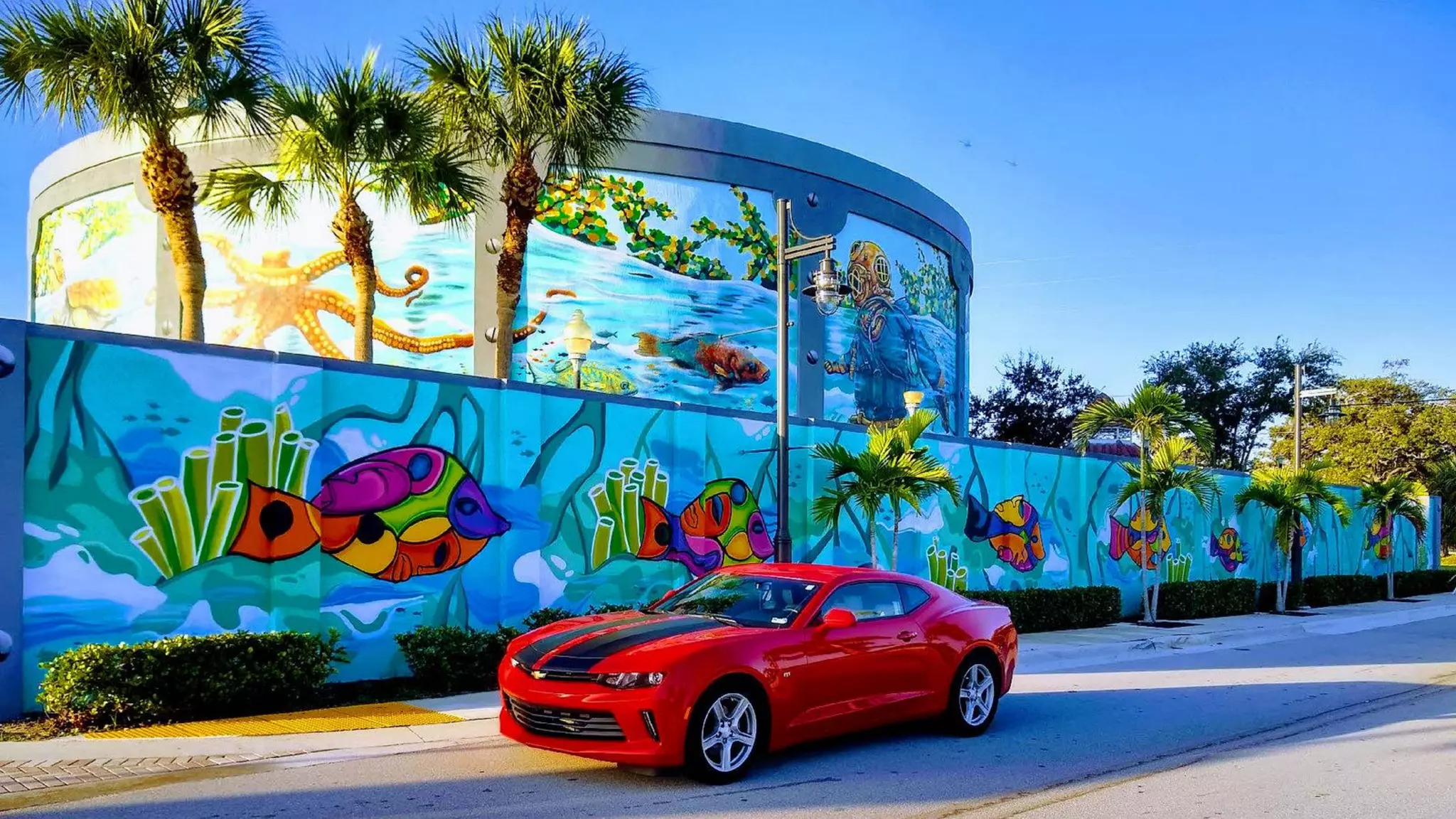 Calypso project | PPT