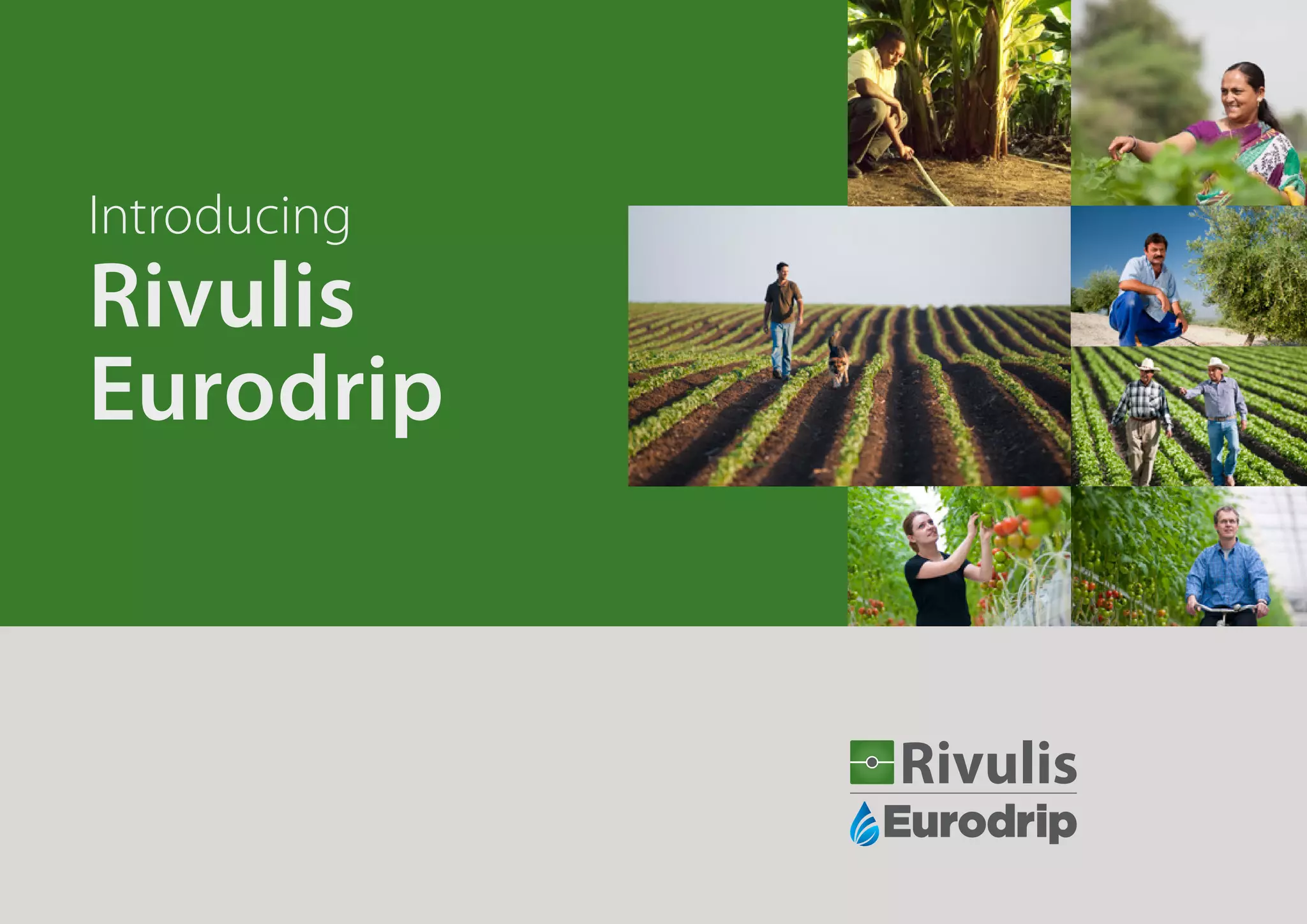 Rivulis-Brochure.pdf