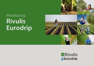 Rivulis-Brochure.pdf