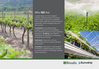 Rivulis-Brochure.pdf