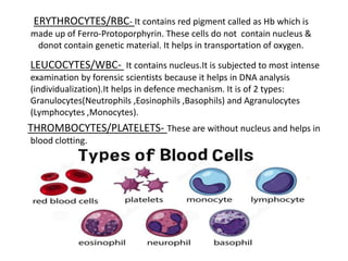 Examination of Blood | PPTX