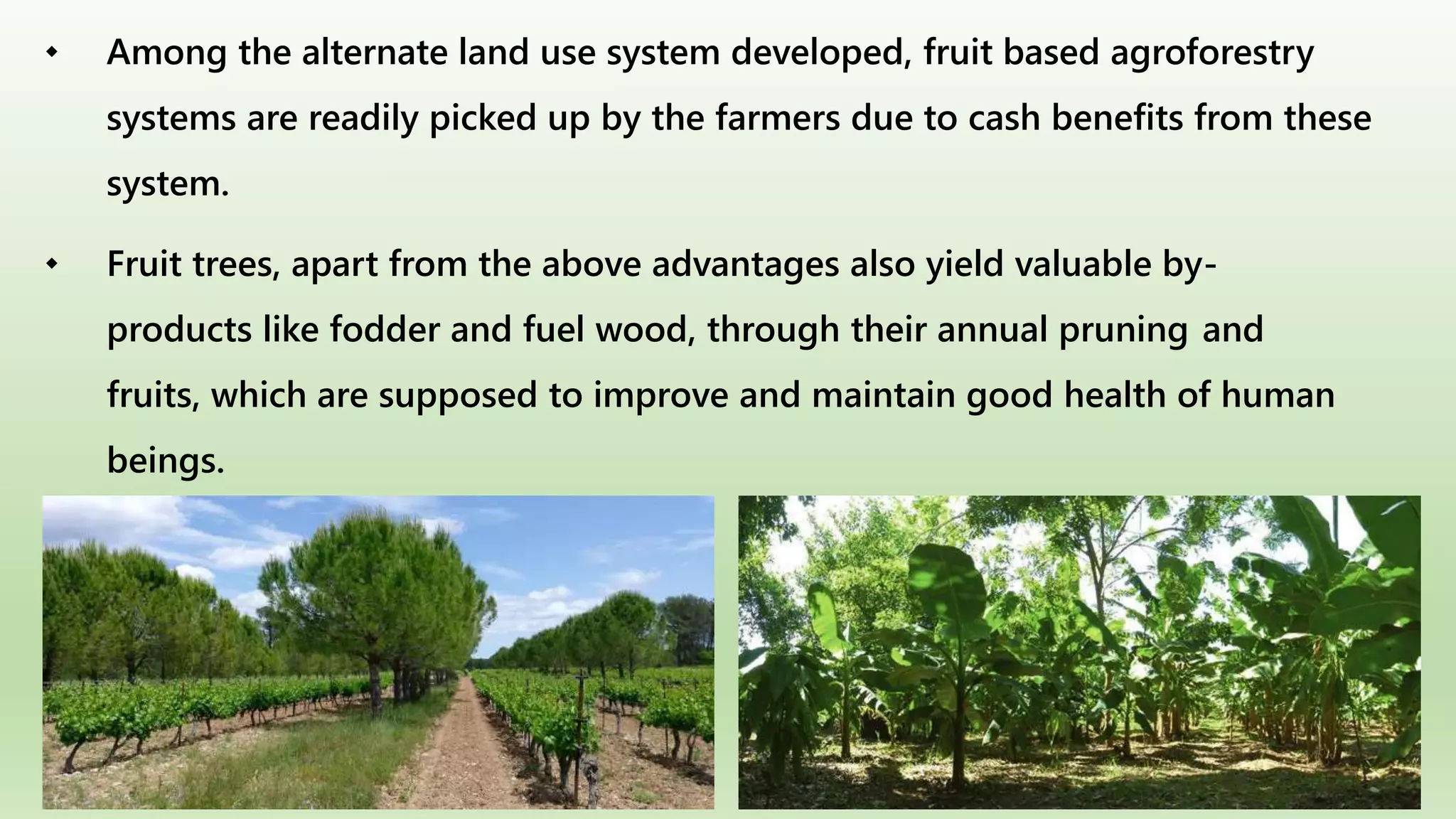 Fruit based agroforestry.pptx