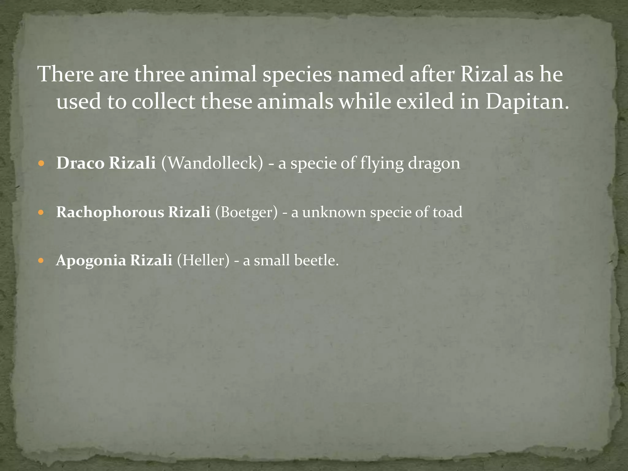 Rizal as a doctor | PPTX