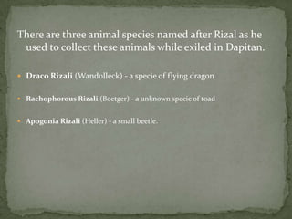 Rizal as a doctor | PPTX