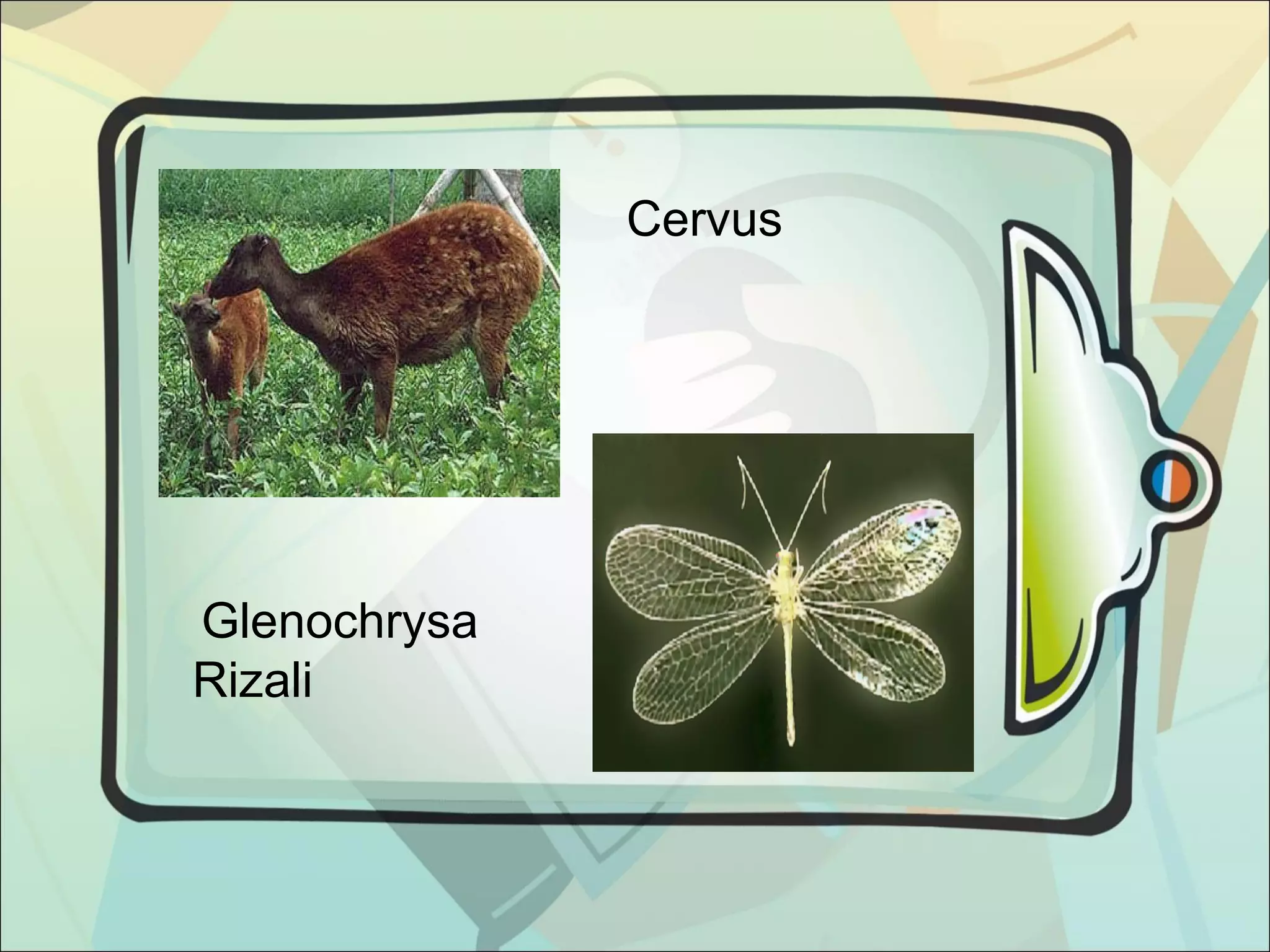 Rizal as a scientist | PPT