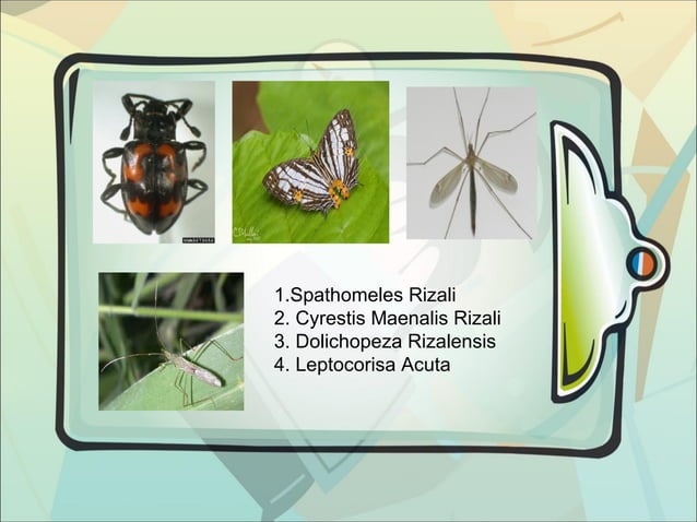 Rizal as a scientist | PPT