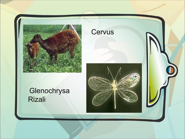 Rizal as a scientist | PPT