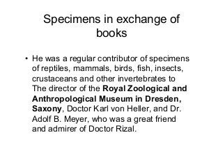Rizal as a Zoologist | PDF
