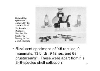 Rizal as a Zoologist | PDF