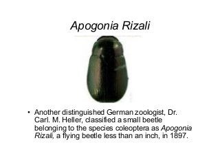 Rizal as a Zoologist | PDF