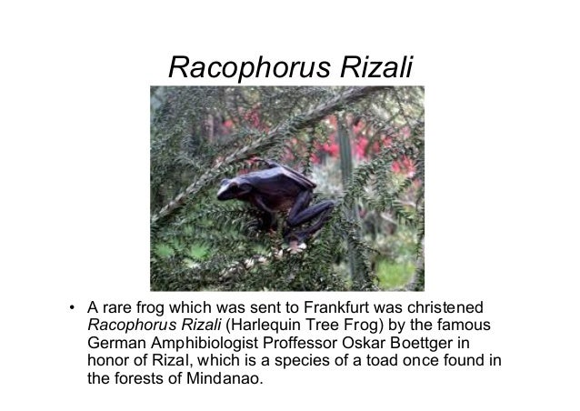 Rizal as a Zoologist