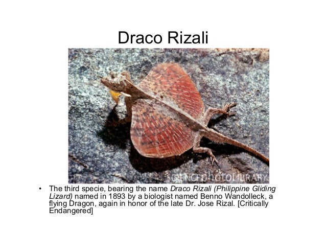 Rizal as a Zoologist