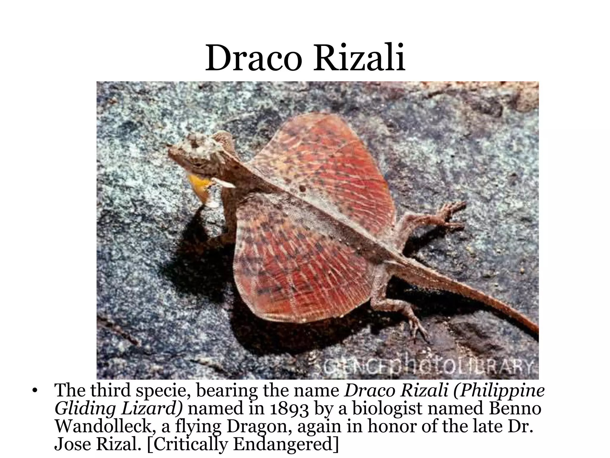 Jose Rizal as an Anthropologist | PPTX