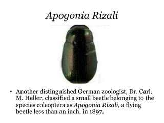 Jose Rizal as an Anthropologist | PPT