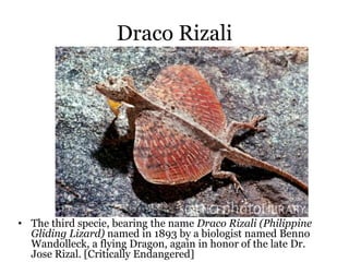 Jose Rizal as an Anthropologist | PPT