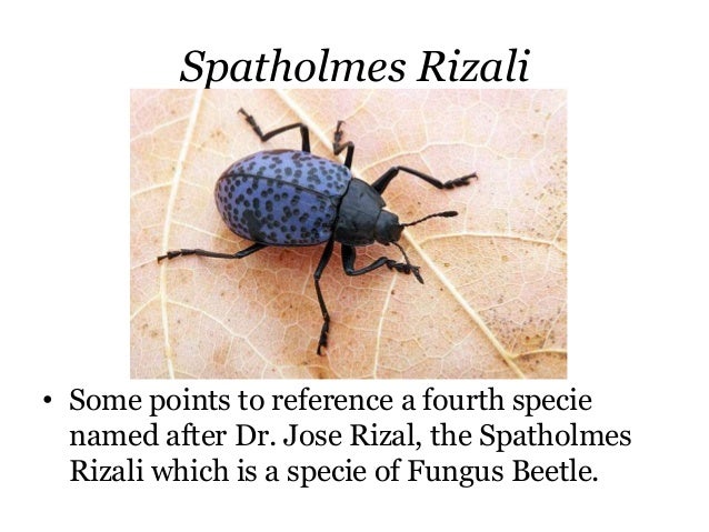 Jose Rizal as an Anthropologist