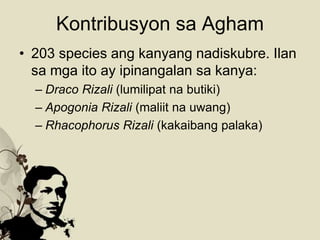 Rizal sa Dapitan | PPTX