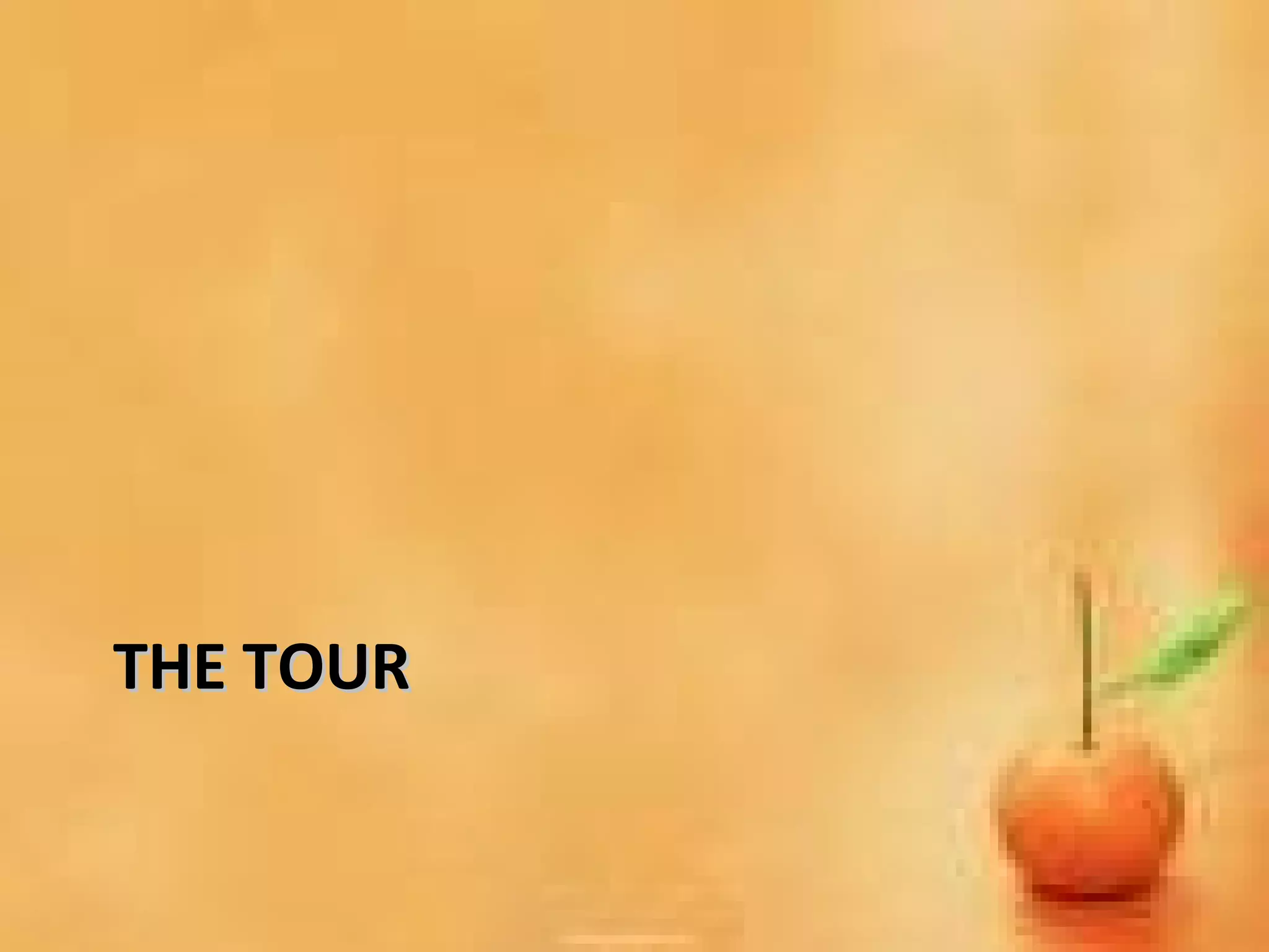 Rizal’s grand tour in europe with maximo viola | PPT