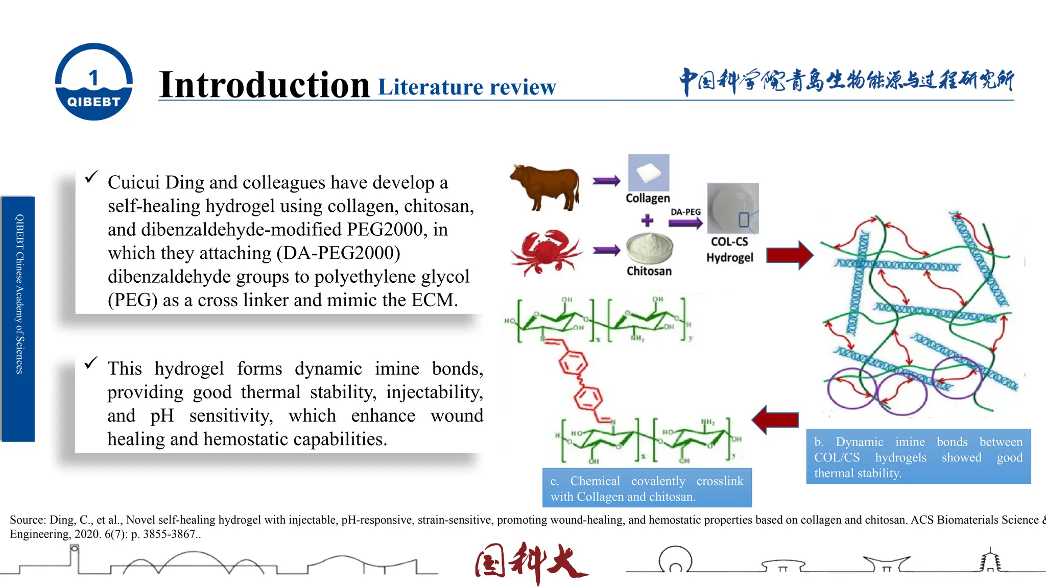 Rizwan khan presentation on collagen and related materials.pptx