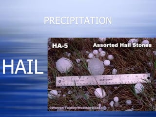 Horological cycle | PPT