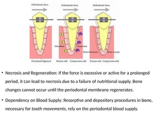 r jc alveolar bone 02-05-2024dvfdgtrgtrg.pptx