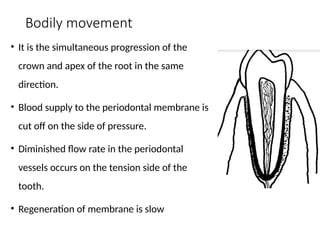 r jc alveolar bone 02-05-2024dvfdgtrgtrg.pptx | Free Download