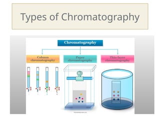 RJ Chromatography-Forensic Chemistry.pptx