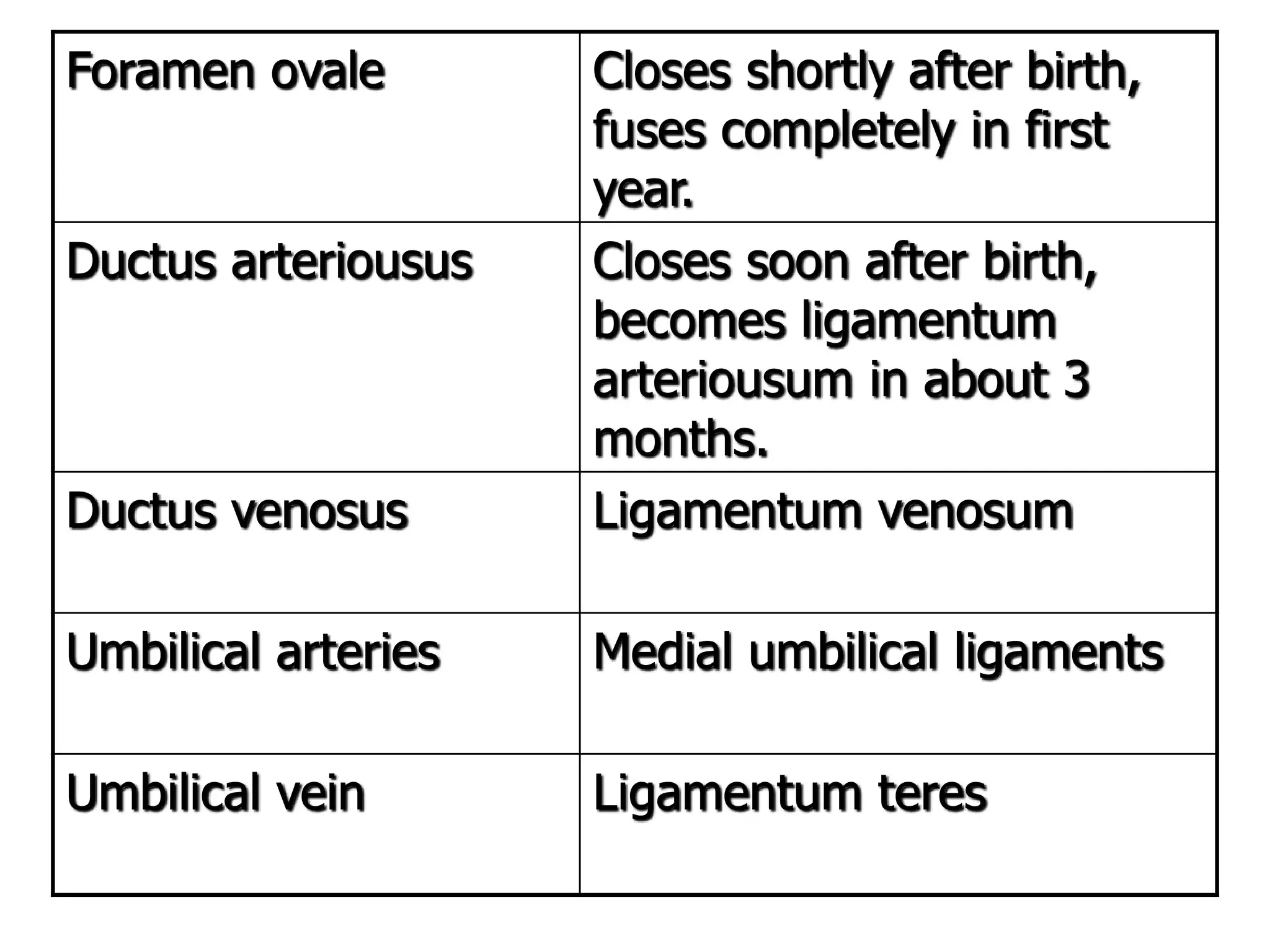 Rji -fetal_circulation | PPT