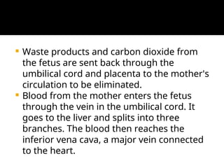 Fetal_Circulation.ppt. the circulatory mechanism in fetus | PPT