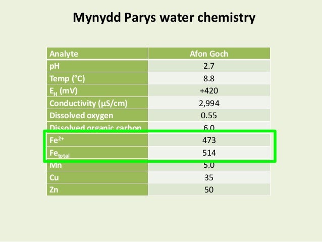 Evolution of bacterial populations in low pH, ferrous iron-oxidizing