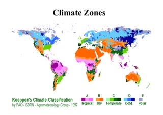 Climate in Architecture Design | PPT