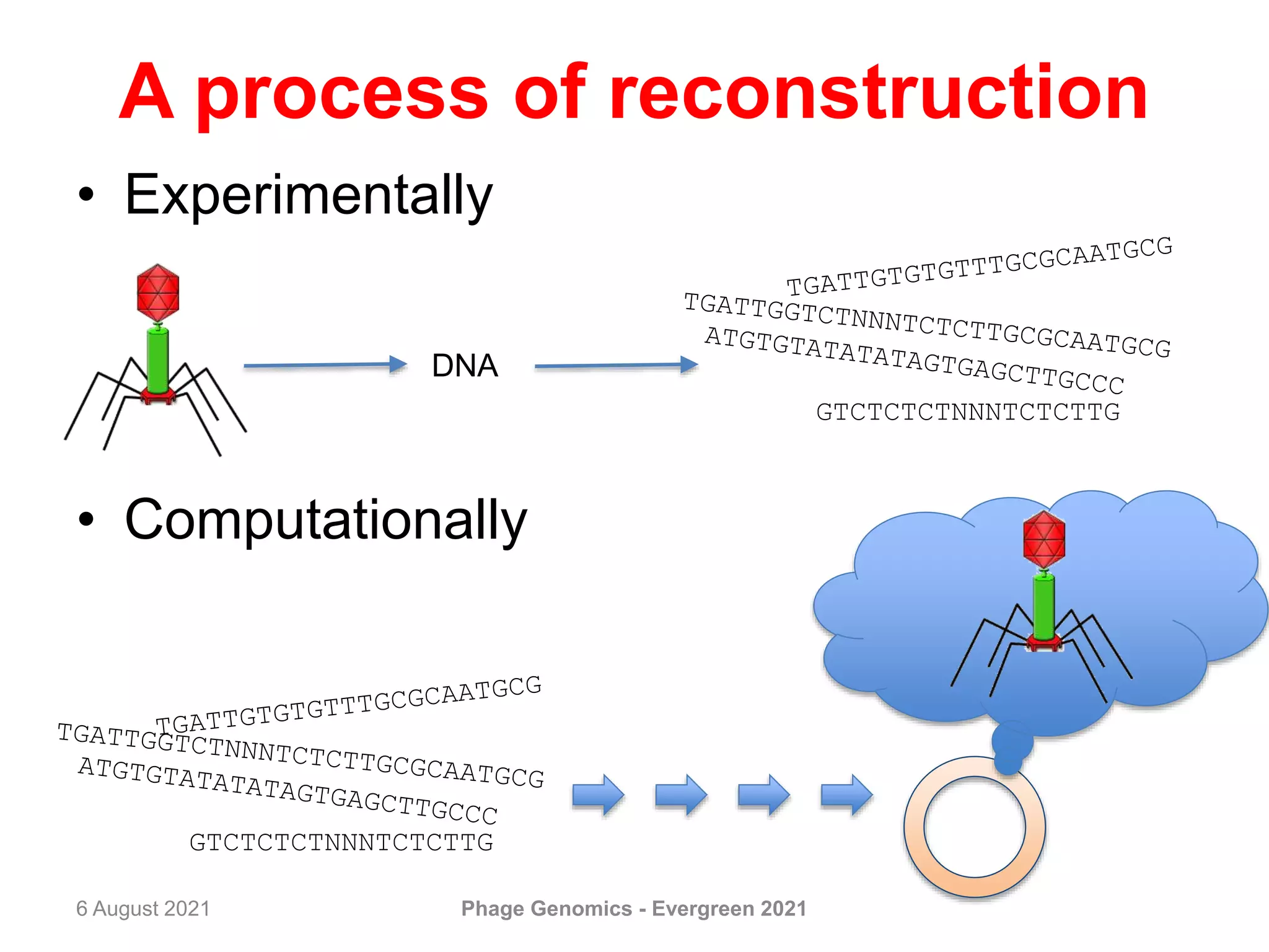 From Sequence to Knowledge (Tools for Phage Genome Annotation) | PPT