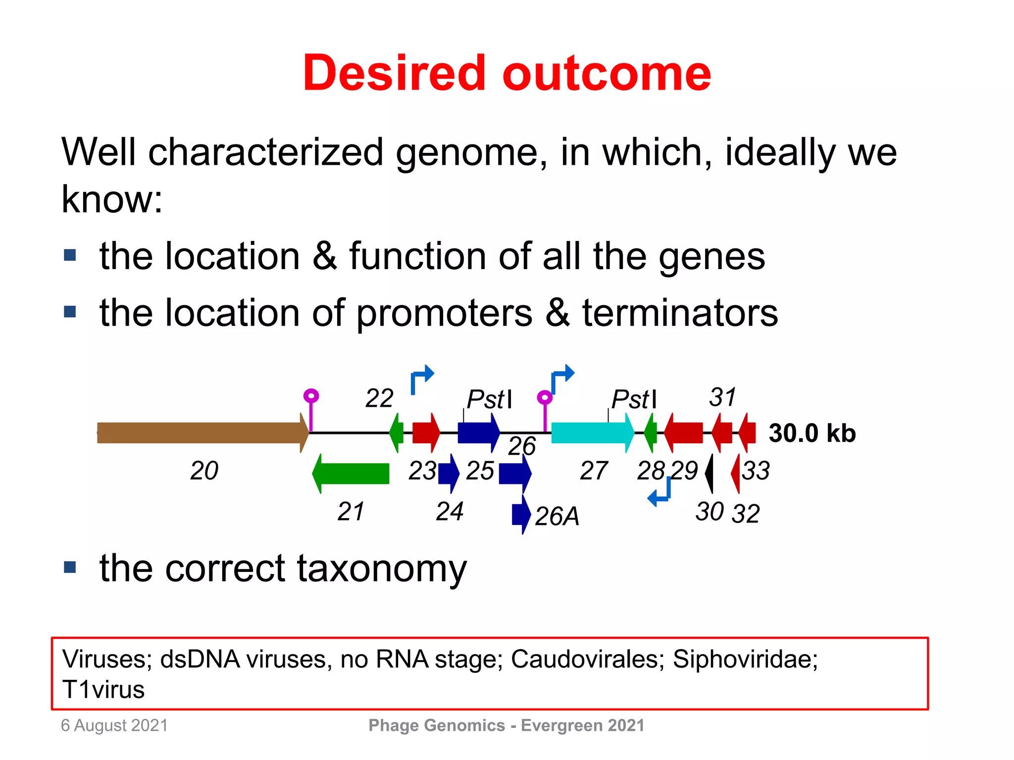From Sequence to Knowledge (Tools for Phage Genome Annotation) | PPT