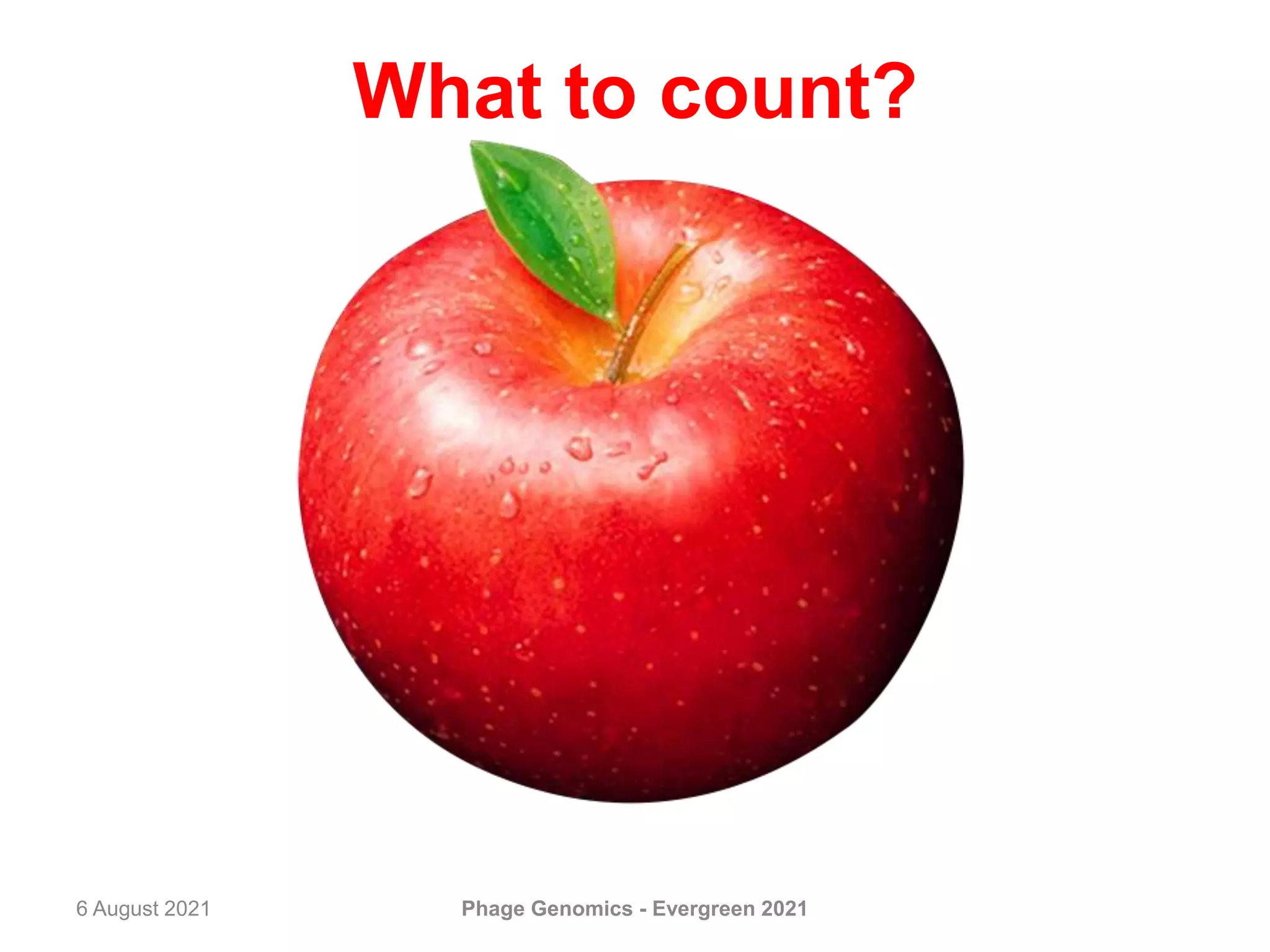 From Sequence to Knowledge (Tools for Phage Genome Annotation) | PPT