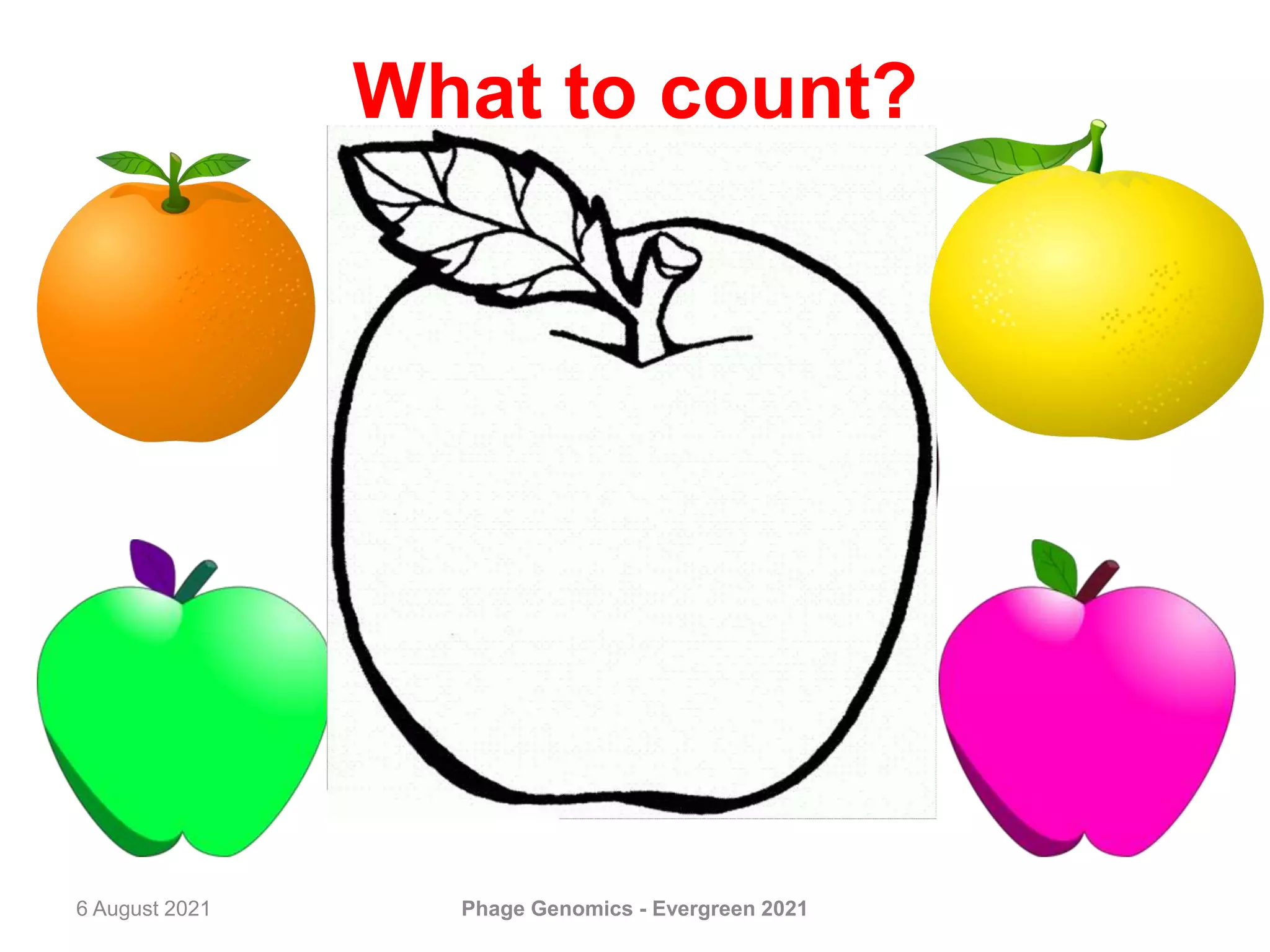 From Sequence to Knowledge (Tools for Phage Genome Annotation) | PPT