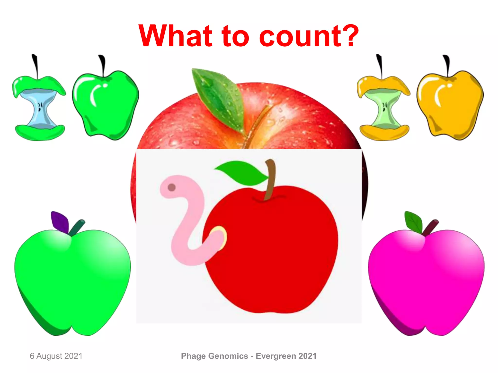 From Sequence to Knowledge (Tools for Phage Genome Annotation) | PPT