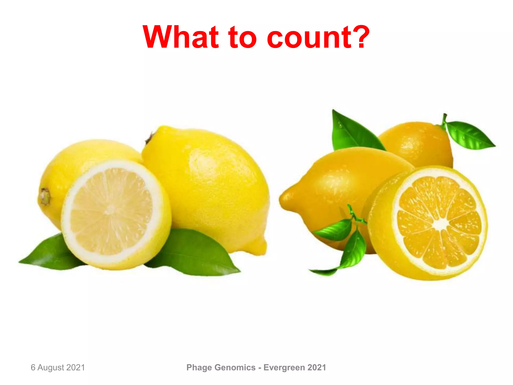 From Sequence to Knowledge (Tools for Phage Genome Annotation) | PPT