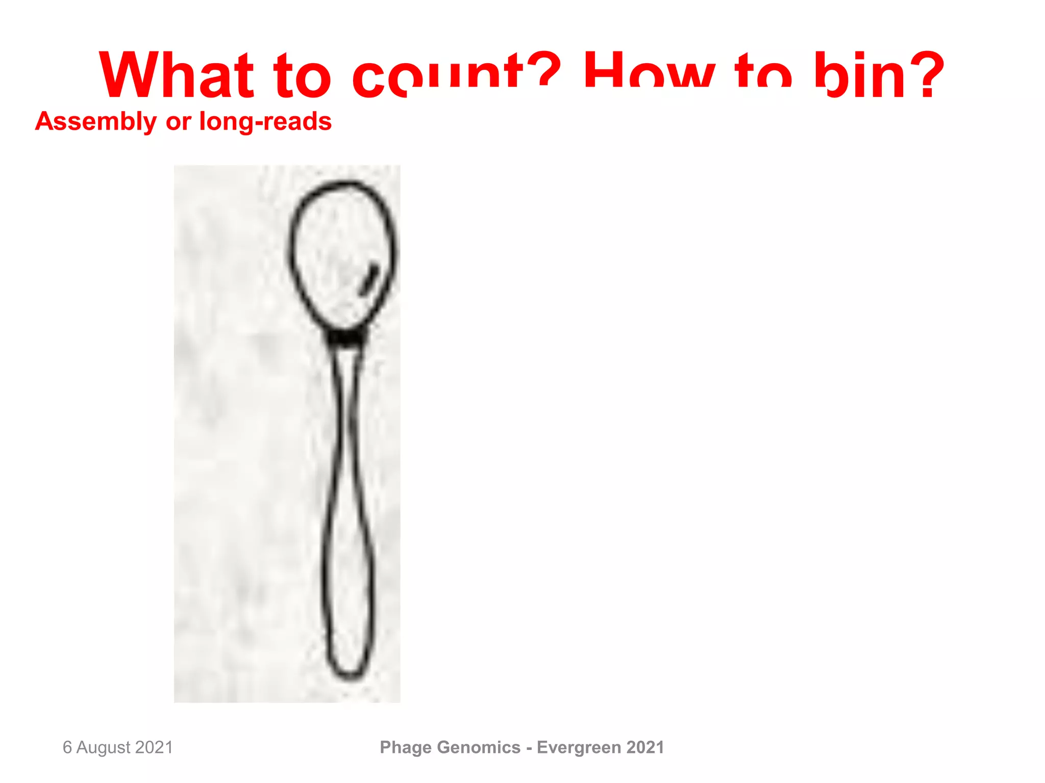 From Sequence to Knowledge (Tools for Phage Genome Annotation) | PPT