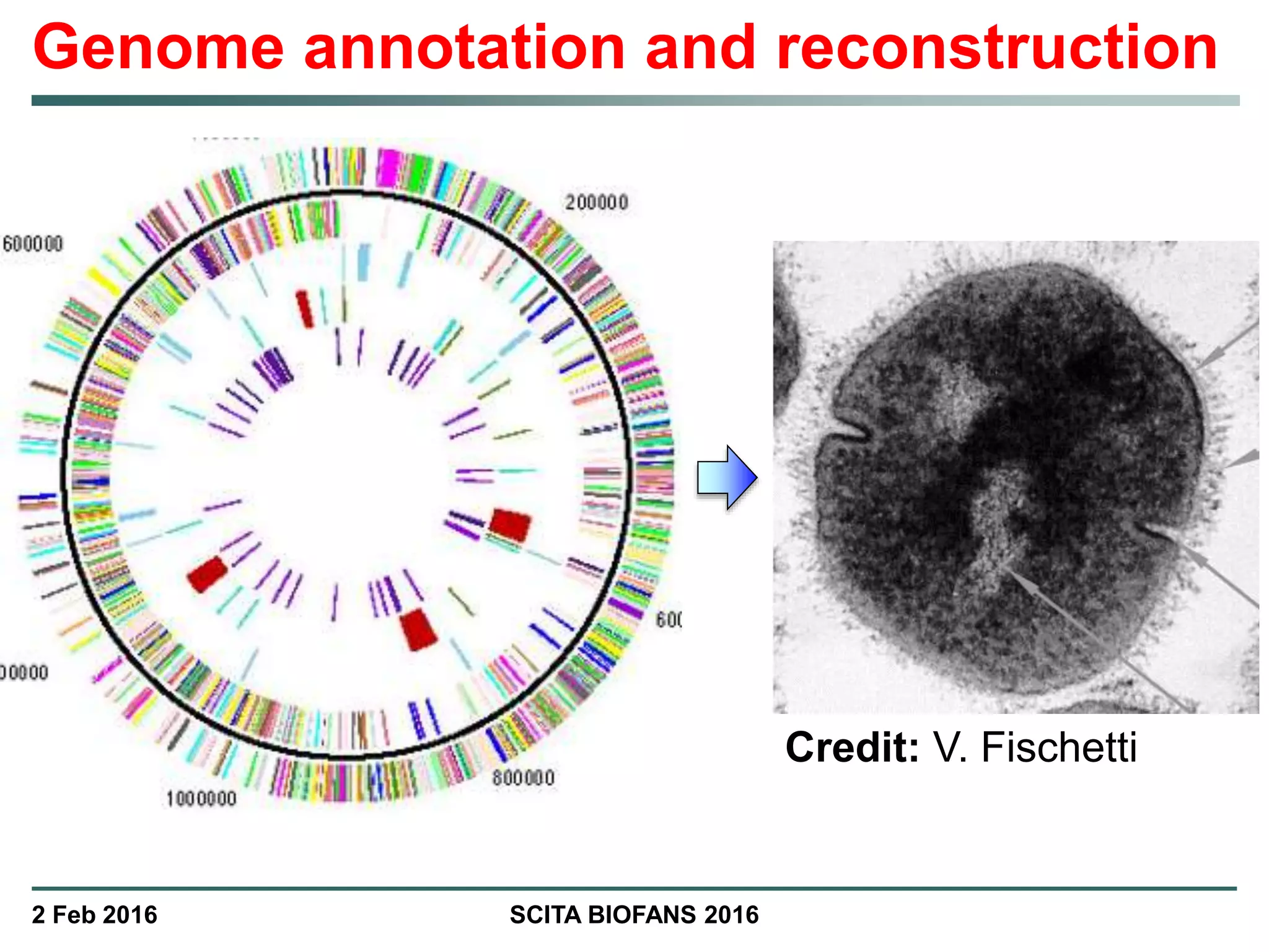 Systems Biology and Genomics of Microbial Pathogens | PPTX