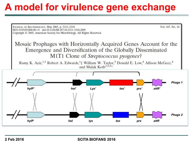 Systems Biology and Genomics of Microbial Pathogens | PPT