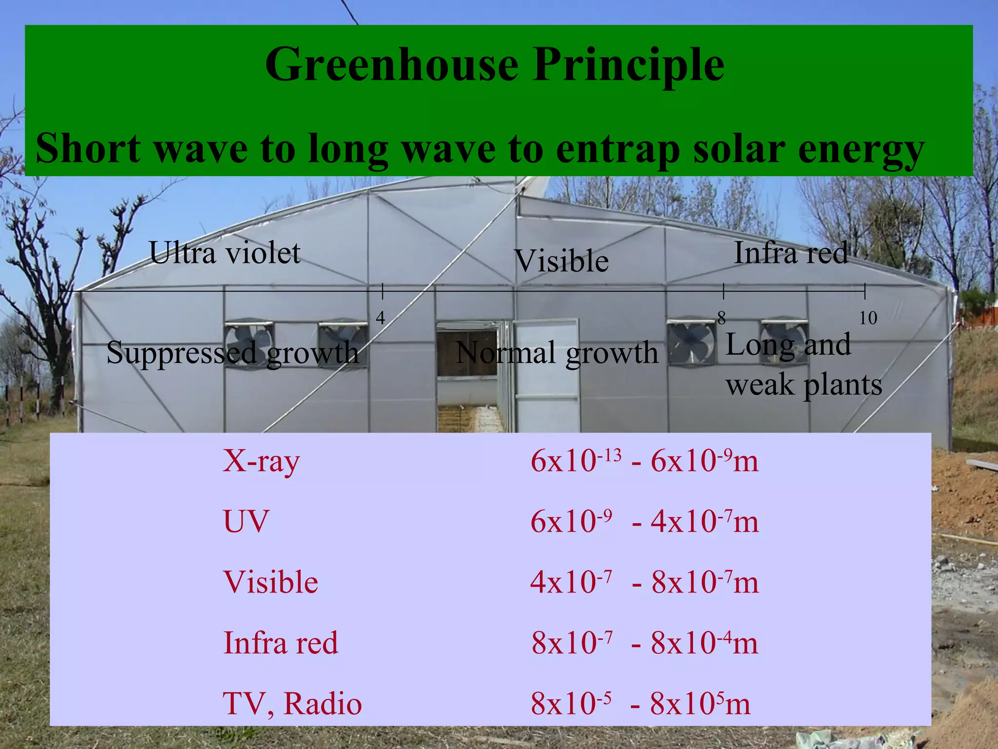 Greenhouse/Polyhouse Designs | PPT