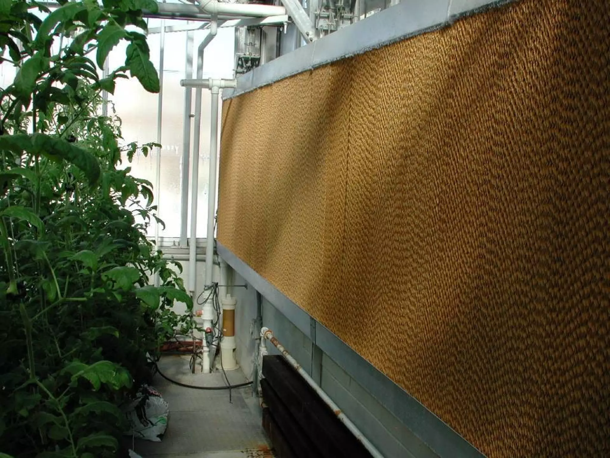 Greenhouse/Polyhouse Designs | PPT