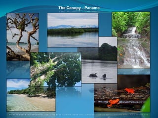 RKI Firm Overview | PPSX