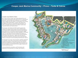 RKI Firm Overview | PPSX