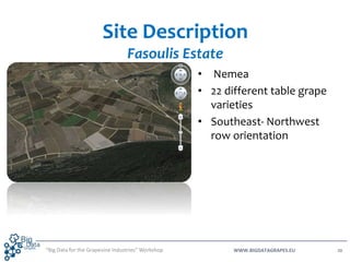 BigDataGrapes_Table and Wine Grapes Pilot | PPT