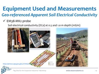 BigDataGrapes_Table and Wine Grapes Pilot | PPT