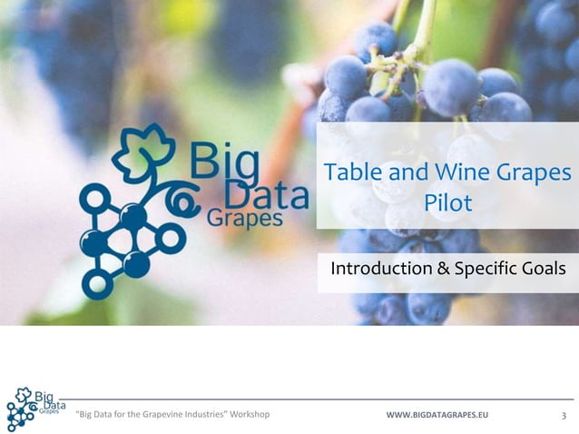 BigDataGrapes_Table and Wine Grapes Pilot | PPT