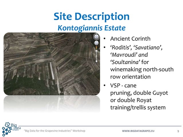 BigDataGrapes_Table and Wine Grapes Pilot | PPT